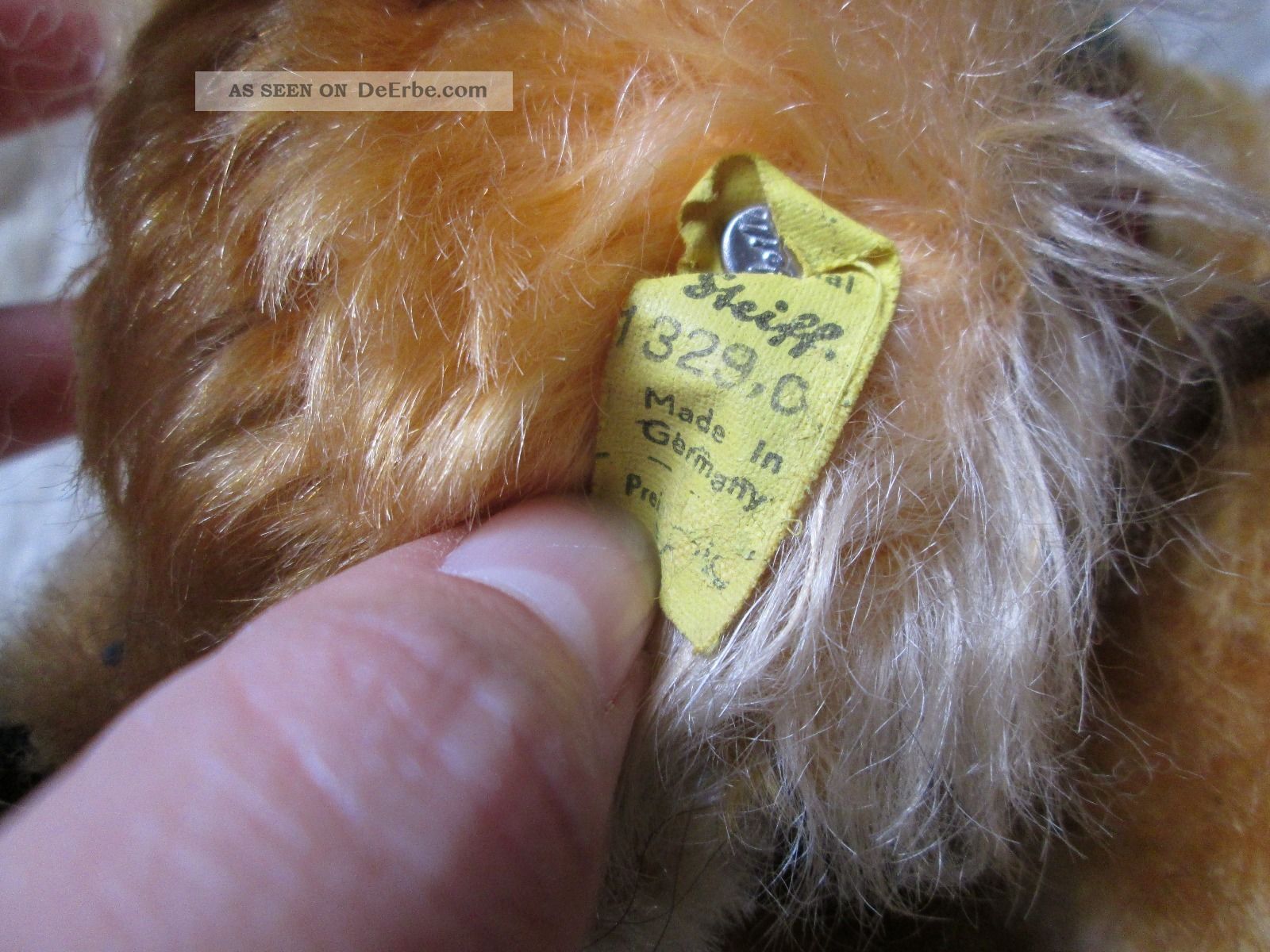 Steiff Cocker Spaniel " Cocky " - Mit Knopf Und Fahne, Gefertigt - Rar