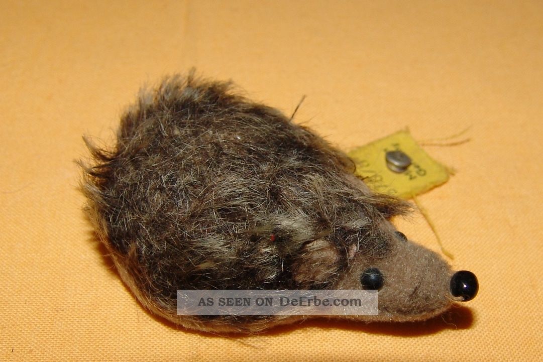 Steiff Igel Wahrscheinlich „joggi“