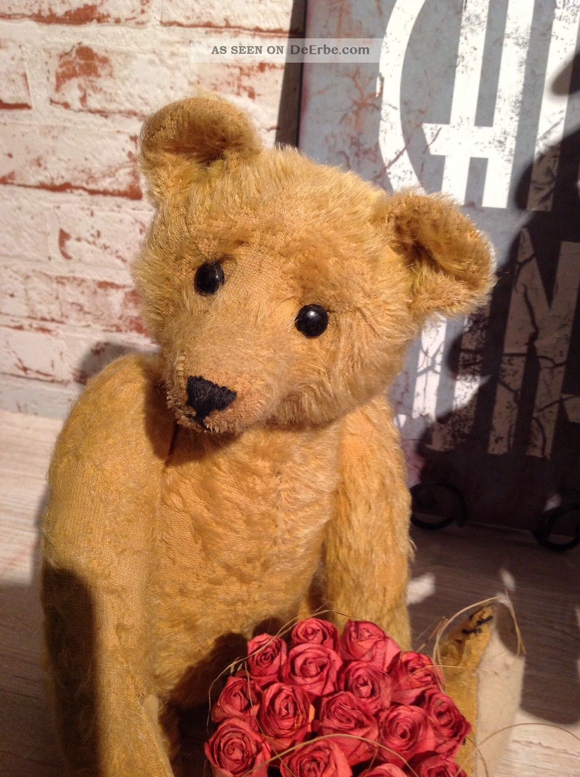 Steiff BÄr 1908 - 1920 37cm Mit Brummstimme Selten In Diesem Mit Ff Knopf.