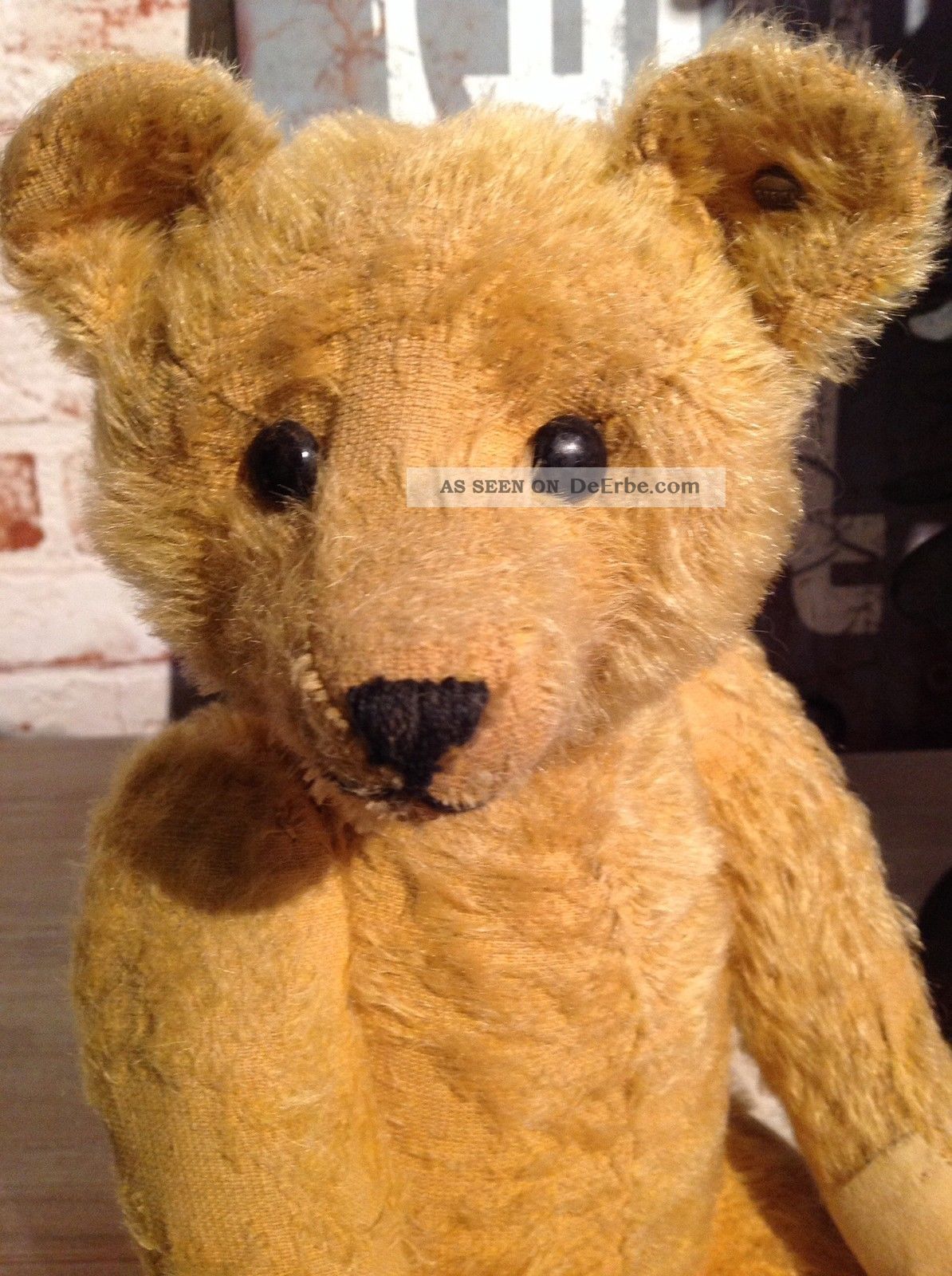 Steiff BÄr 1908 - 1920 37cm Mit Brummstimme Selten In Diesem Mit Ff Knopf.