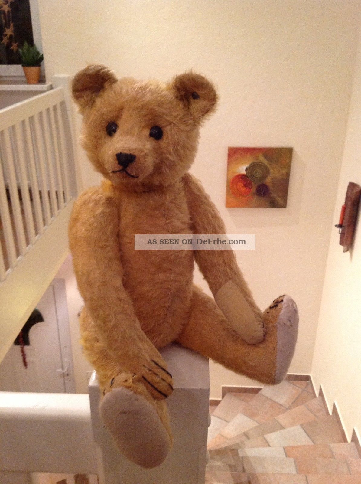 Steiff BÄr 1908 - 1920 37cm Mit Brummstimme Selten In Diesem Mit Ff Knopf.