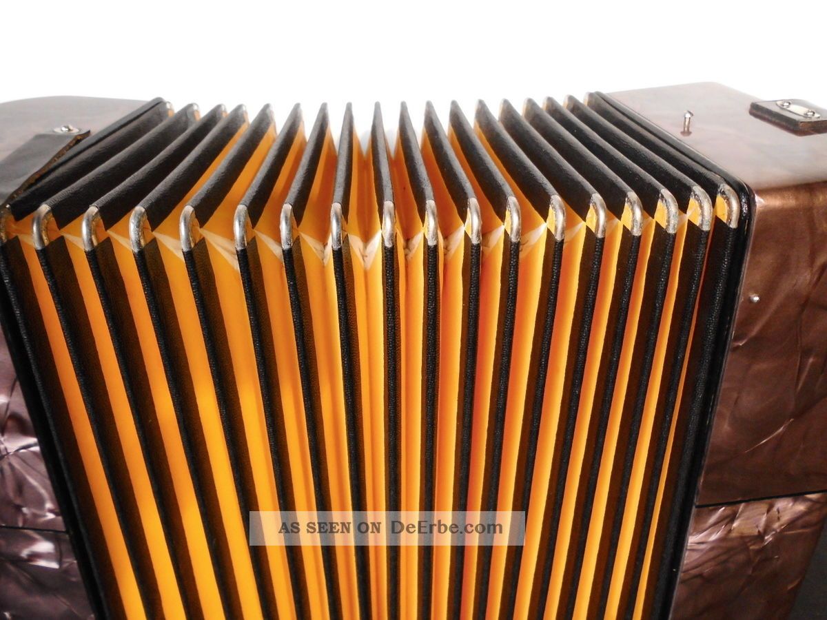 Hohner Erica Handharmonika / Akkordeon