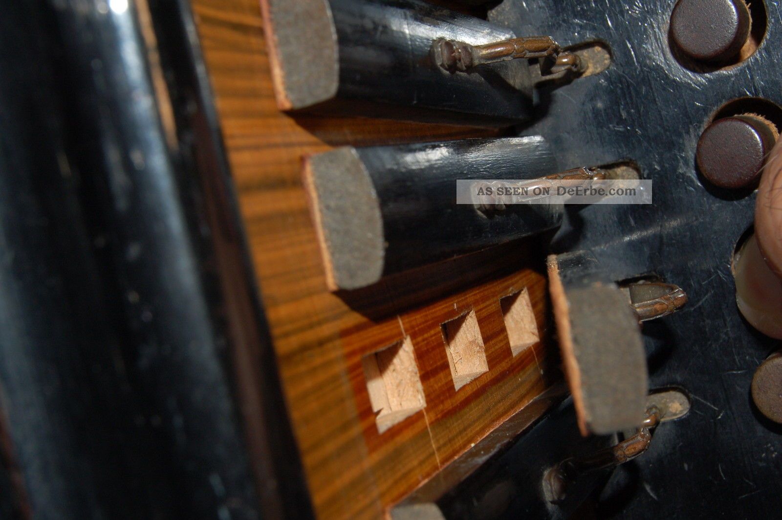 Altes Accordeon Adolphus Professional Alte Quetsche