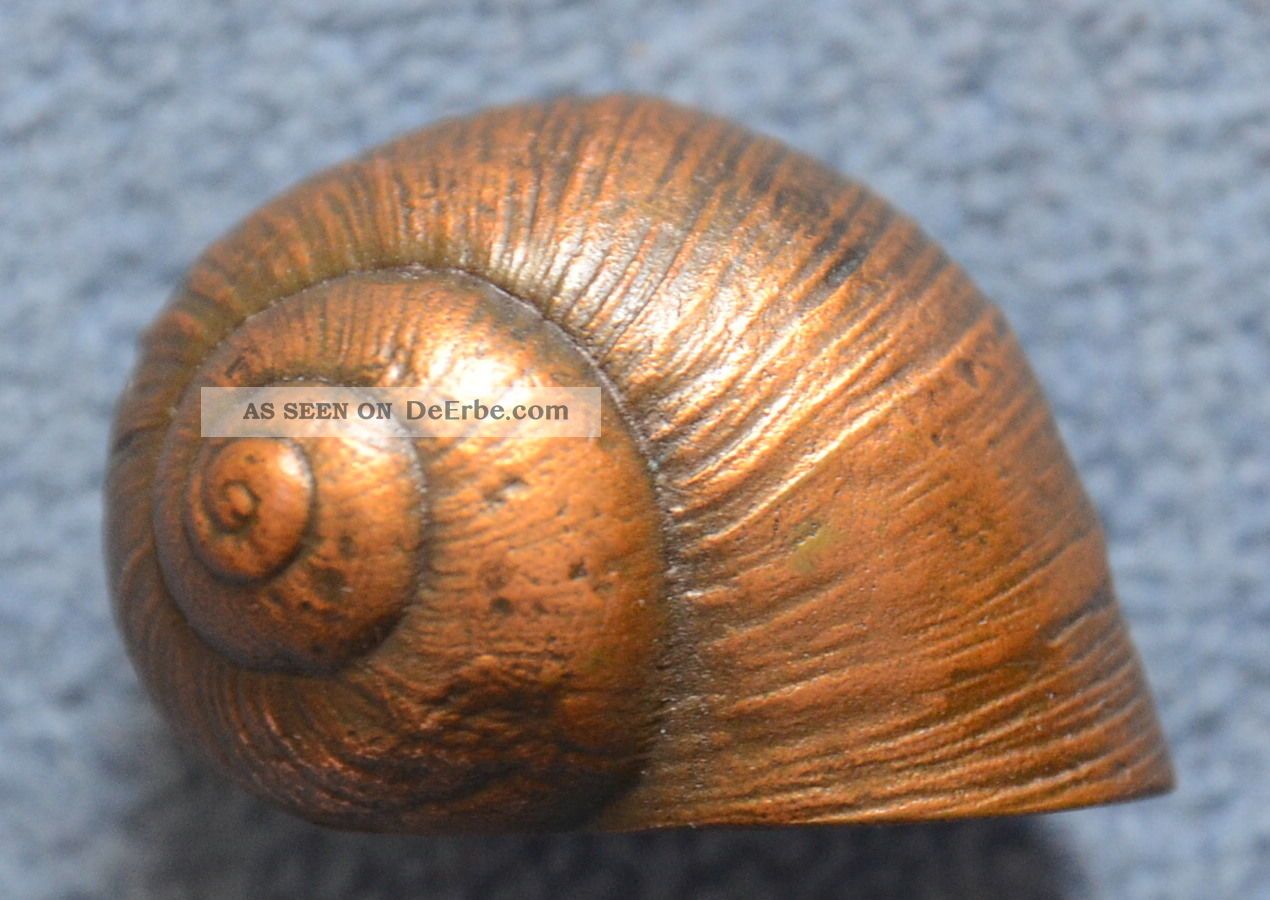 Paul Wunderlich Schnecke Bronze Mit Neuwertigem Buch, Letzte Exemplare ...
