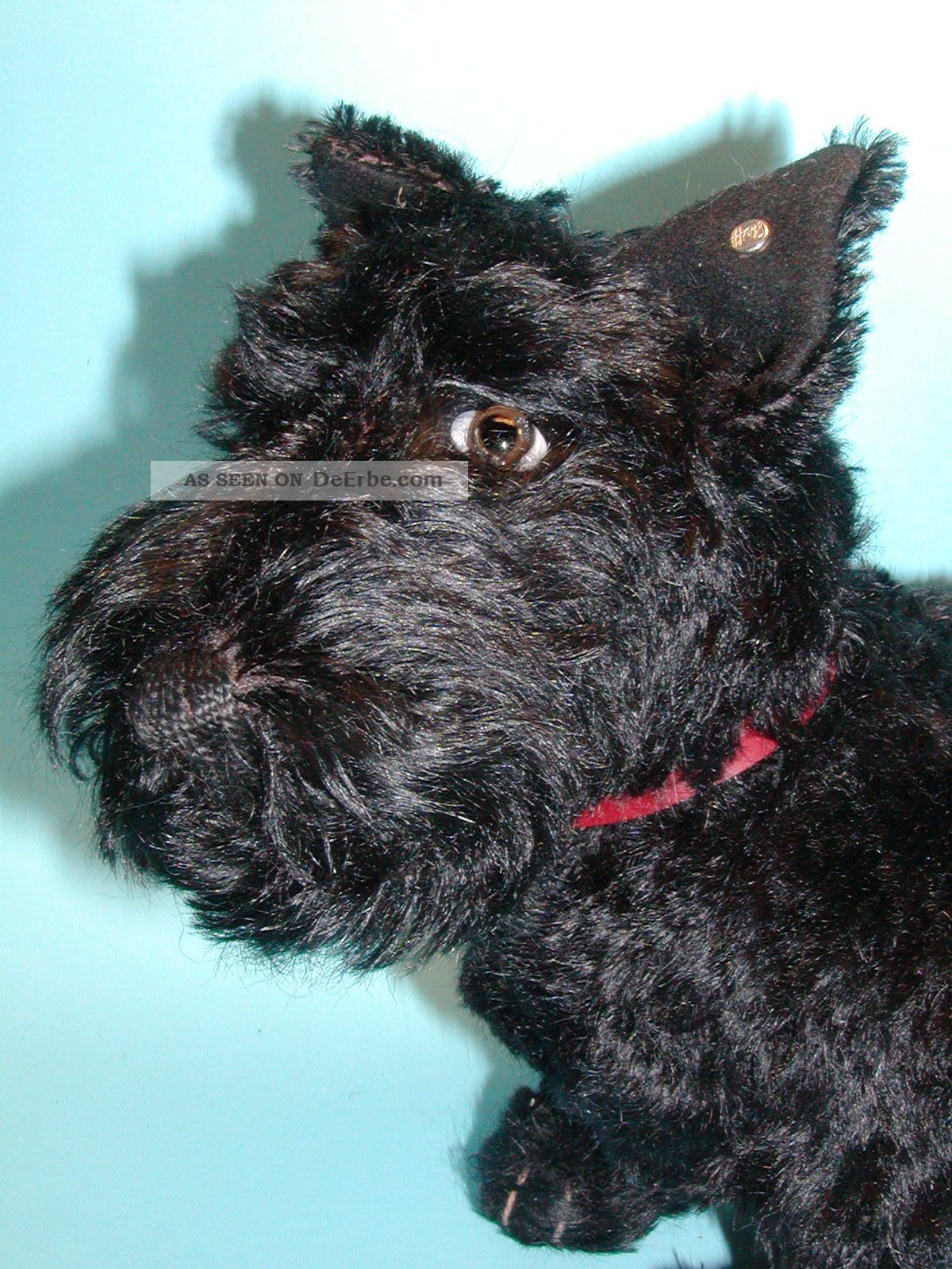 Alt, Sehr Selten Steiff Scotty Terrier Mit Knopf. Der Größte, 22cm Hoch