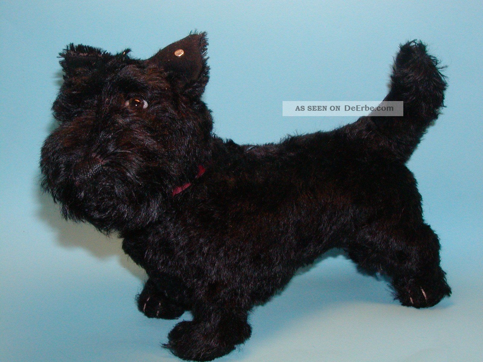 Alt, Sehr Selten Steiff Scotty Terrier Mit Knopf. Der Größte, 22cm Hoch