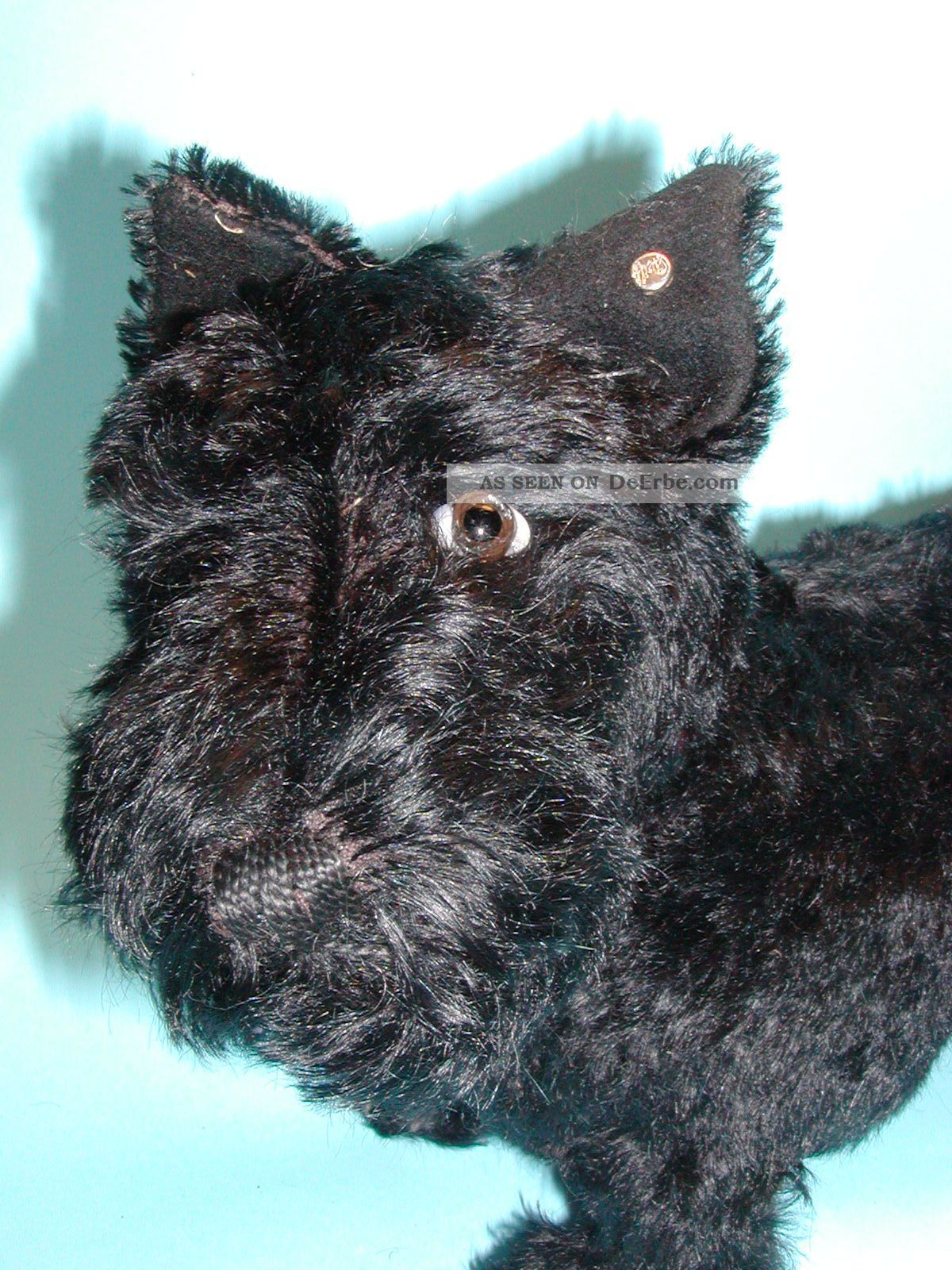 Alt, Sehr Selten Steiff Scotty Terrier Mit Knopf. Der Größte, 22cm Hoch