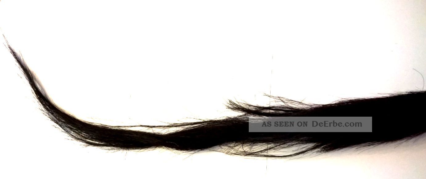 Uralter Afrikanischer Fliegenwedel Kamerun – Old African Fly Whisk From ...