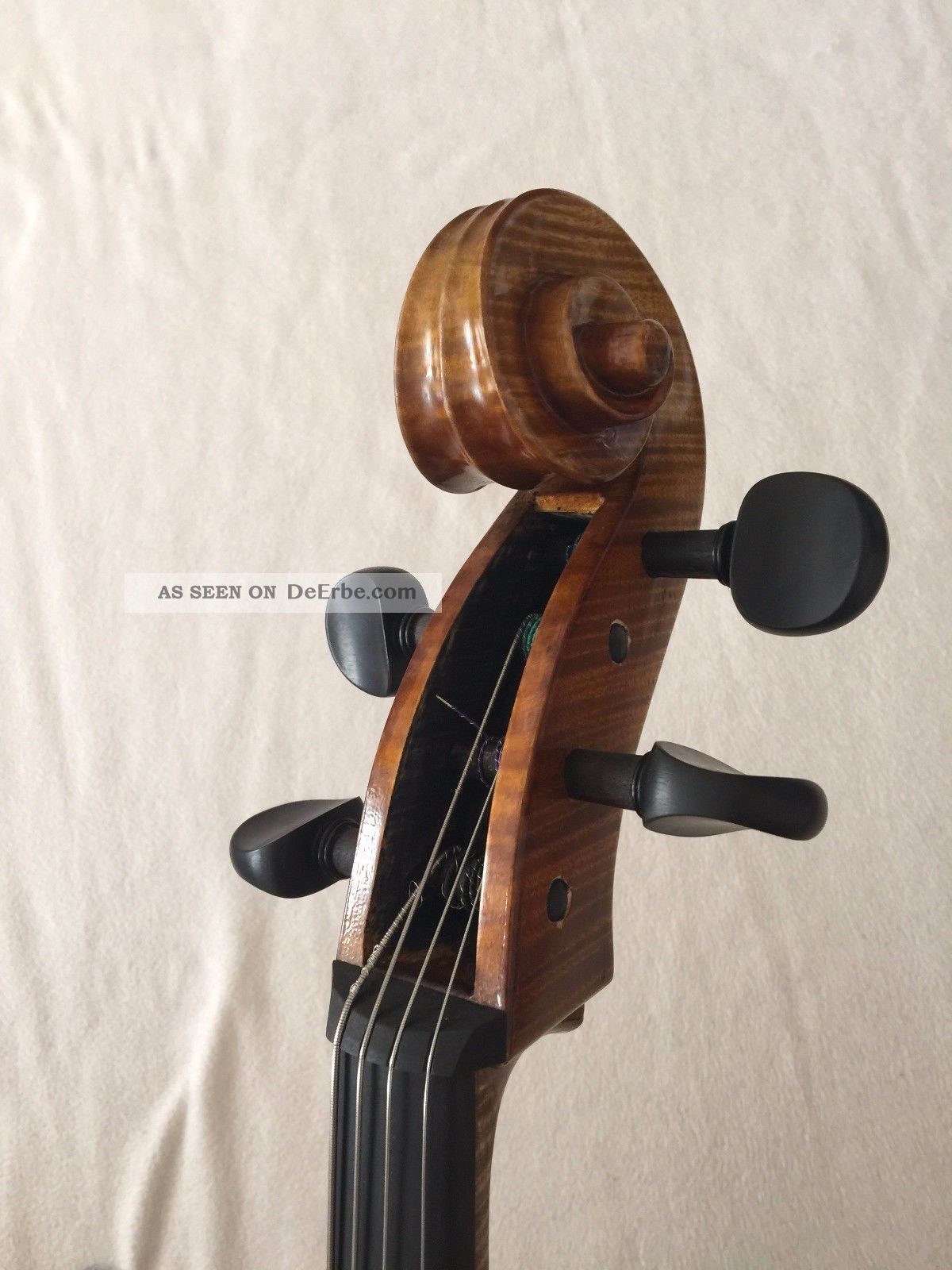 Wunderschönes Seltenes Cello Aus Vollmassiv Mit Einteiliger Decke, Rare ...