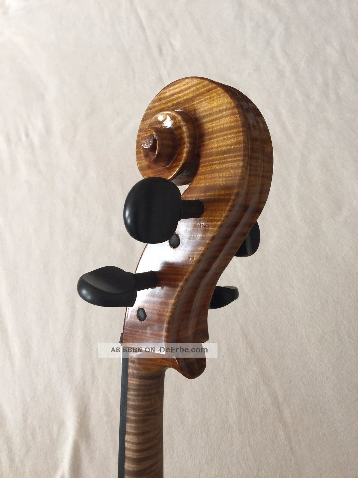 Wunderschönes Seltenes Cello Aus Vollmassiv Mit Einteiliger Decke, Rare ...