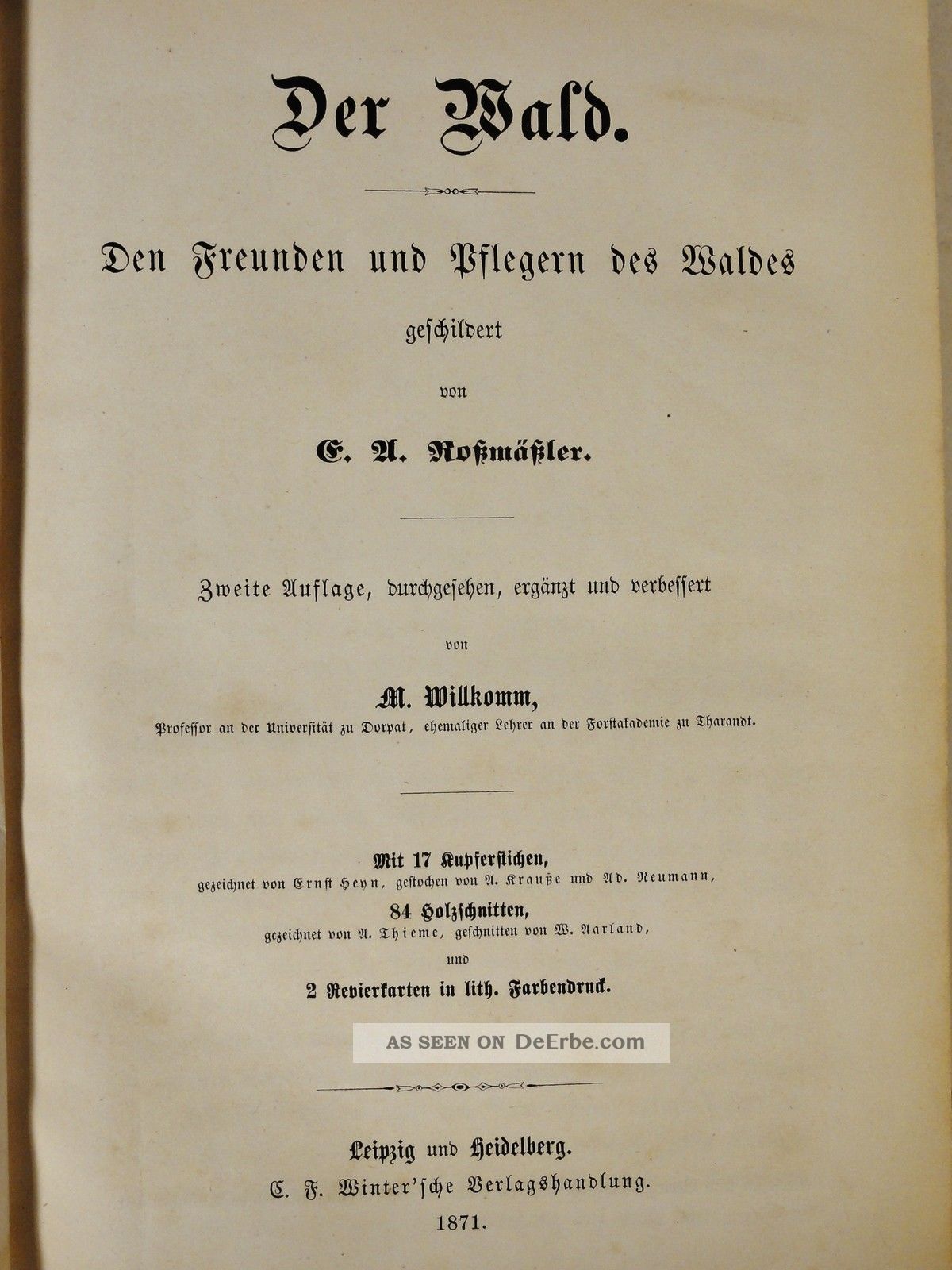 Altes Buch " Der Wald " V. Roßmäßler 1871, Mit 17 Kupferstichen, 84 ...