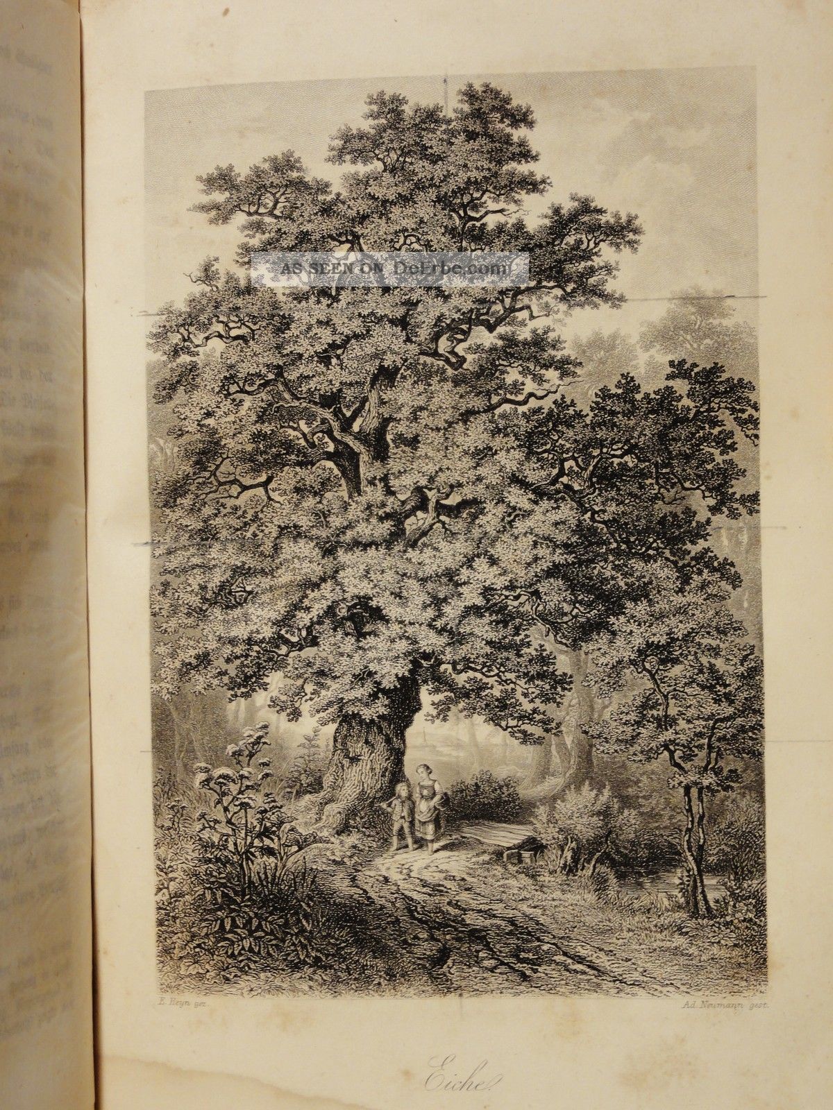 Altes Buch " Der Wald " V. Roßmäßler 1871, Mit 17 Kupferstichen, 84 ...
