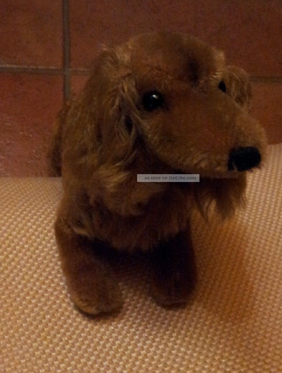 Steiff Dackel Waldi, Slo, Robby, Snucki 1951 - 1966